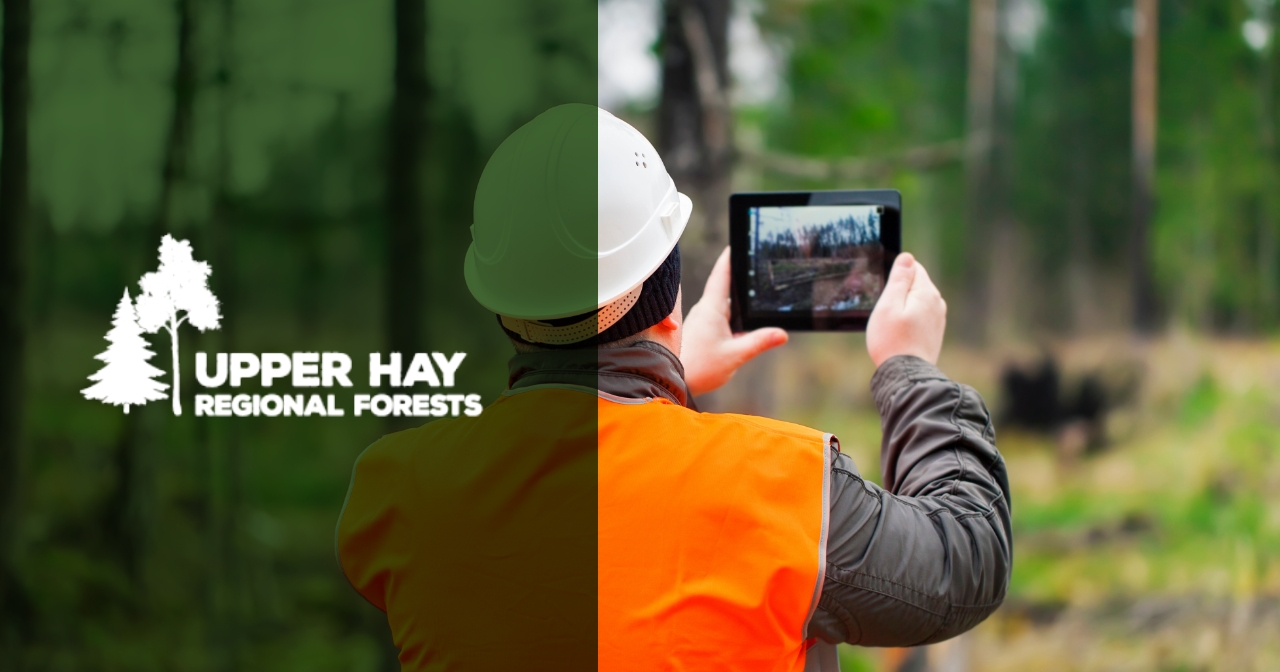 Upper Hay Regional Forests - Sustainable Forest Management